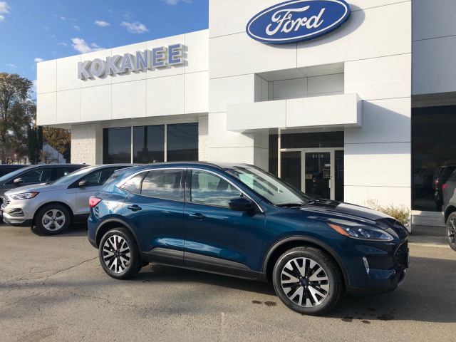 2020 Ford Escape SEL Dark Persian Green, 2.0L EcoBoost Engine with Auto ...