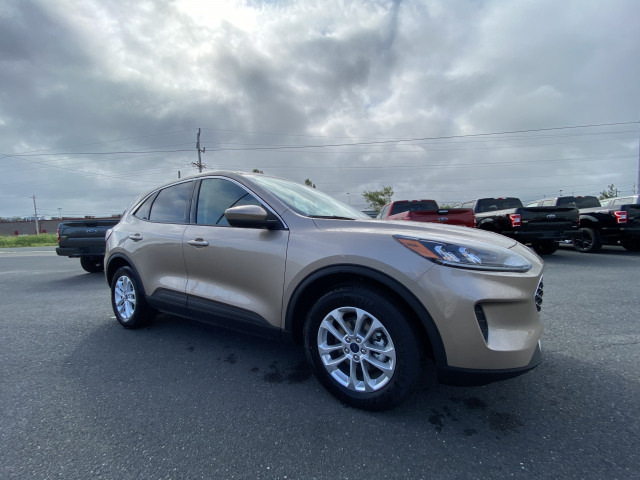 Desert gold ford escape 2021 - klopboston