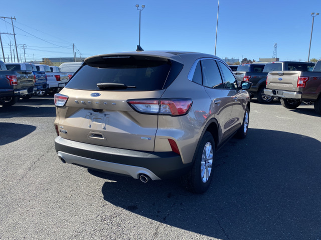 Desert gold ford escape 2021 - klopboston