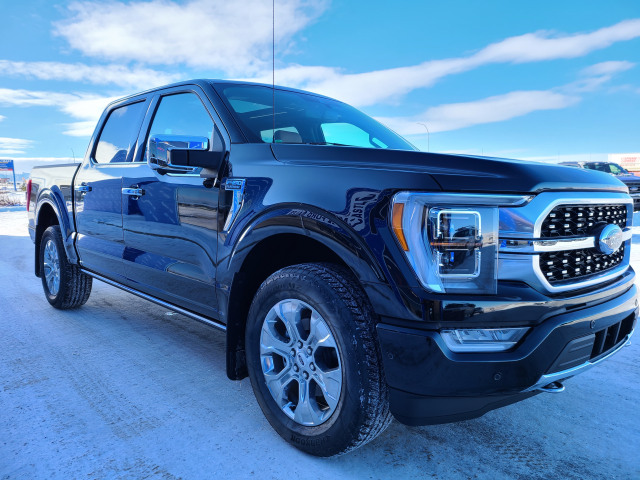2021 Ford F-150 Platinum Agate Black, 3.5L V6 EcoBoost® with Auto Start ...